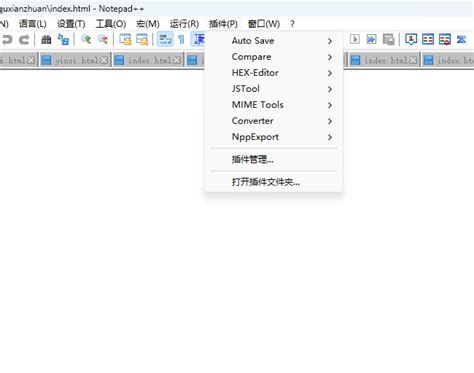 Notepad代码编辑器安装步骤 Notepad使用教程