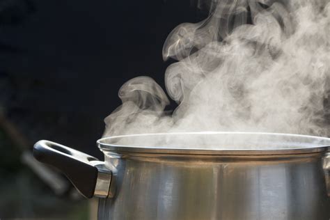 Cocina Al Vapor Técnicas Y Recetas Fáciles 3 Claveles