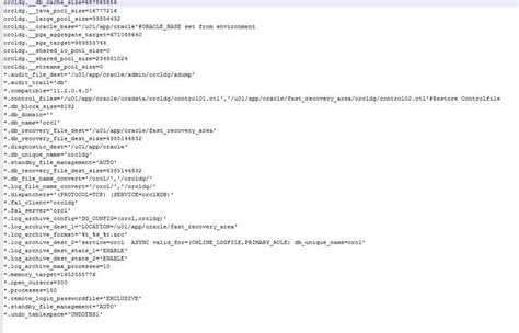 Oracle 11g R2 Database Dataguard Kurulumu Çözümpark