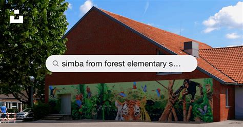 Simba From Forest Elementary School Pictures Download Free Images On