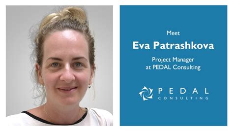 newteammember dream team project manager experience pedal consulting