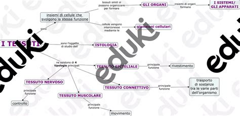Mappe Concettuali Di Biologiai Tessuti Materiale Didattico Per La