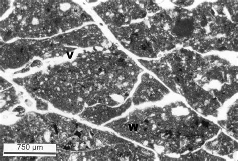 Angular Blocky Microstructure With Wedge Shaped Peds W And Inter