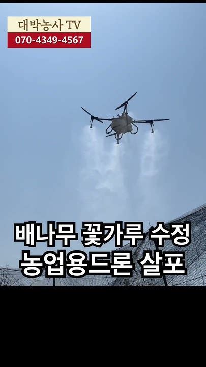 농업용드론 배나무 수정을 위해 꽃가루 살포 드론으로 합니다 방제드론 수정드론 수분수정 배나무수정 농업용드론활용 Afx40 Afi 화성시 Youtube