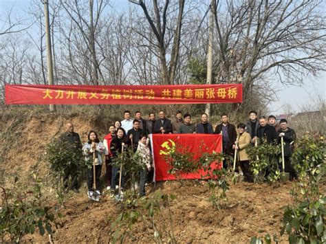 舒城县张母桥镇积极开展义务植树节活动 六安市林业局