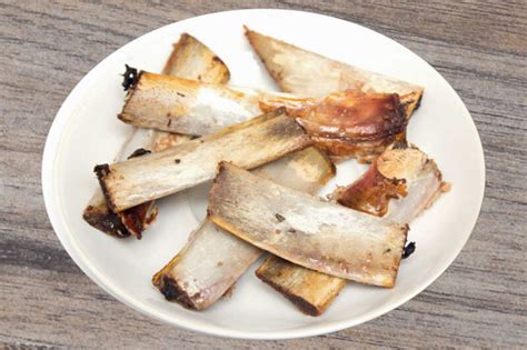 Can Dogs Eat Rib Bones What You Need To Know