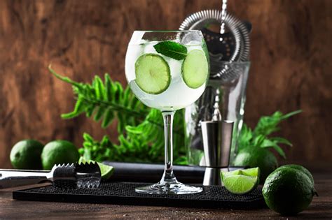 로얄 모히토 화이트 럼 프로세코 라임 민트 아이스를 곁들인 알코올 칵테일을 와인 잔에 바 도구와 함께 제공합니다 진에 대한 스톡 사진 및 기타 이미지 Istock