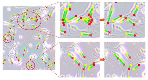two kinds of detection before and after post processing the red