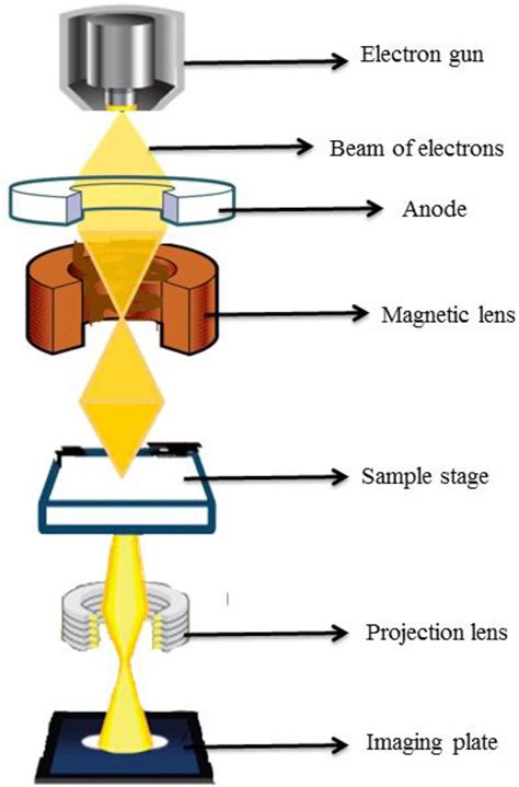 Scanning Electron Microscope Principle