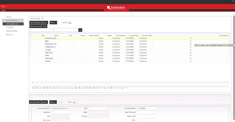 Siebel Crm Ip2014 Custom Theme Reborn Boxfusion
