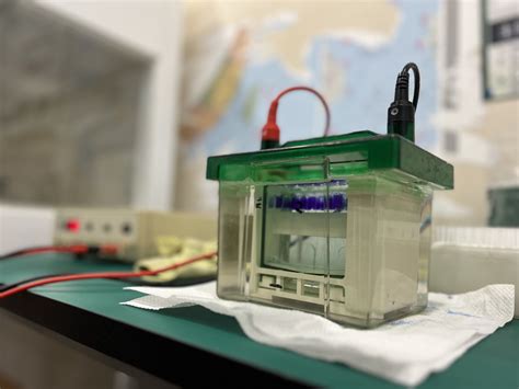 【深圳】基于matlab的人体生理信号处理和疾病关联分析 Xlab