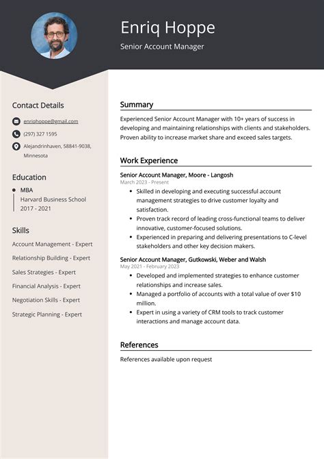 Senior Account Manager Resume Examples Template And 20 Tips