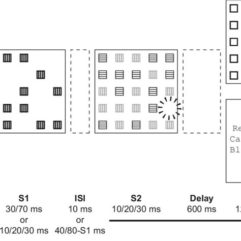 Temporal Integration Frequency Top Panel Temporal Order Judgment