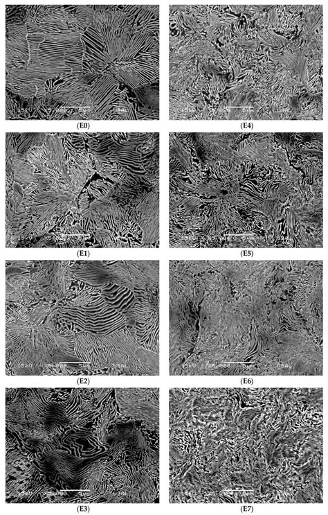 Metals Special Issue Microalloyed Steel