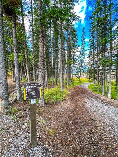 Guide To Hiking The Marsh Loop Banff Trailhead In Banff Canada