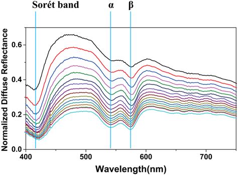 Measured Diffuse Reflectance Spectra At Different Hemoglobin Download Scientific Diagram
