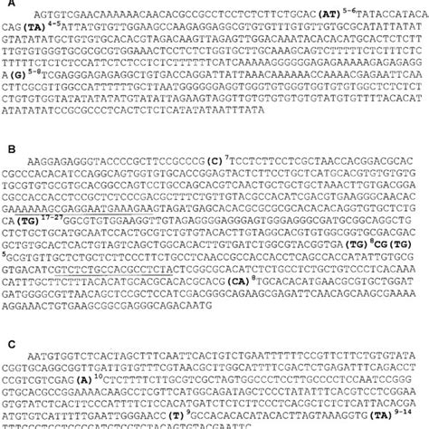 Complete Nucleotide Sequences Of Genomic Dna Regions Containing