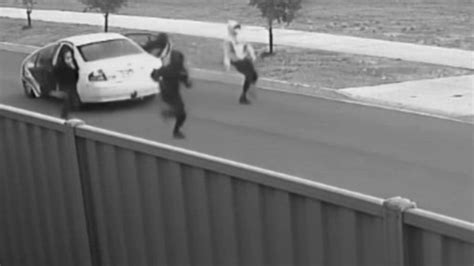 Peter Dutton Sons Photo Mps React To Bag With ‘white Powder The