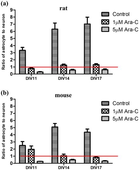 Co Culture Platform For Neuron Astrocyte Interaction Using Optogenetic