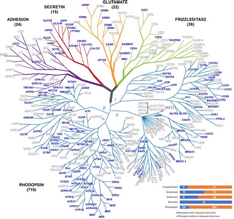 Gpcrana A Web Server For Quantitative Analysis Of Gpcr Structures