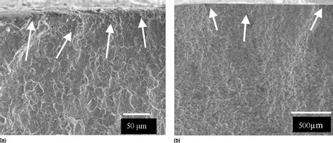 Multiple Crack Initiation On The Upper Surface Download Scientific Diagram