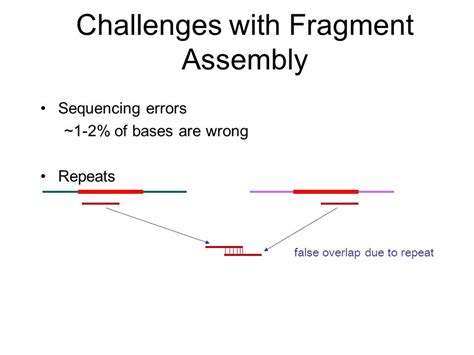 Next Generation Dna Sequencing Ppt Download