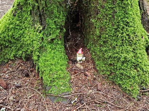 Premium Photo Low Section Of Person Standing On Grass