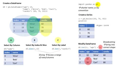 Minutes To Pandas In Minutes Be On The Right Side Of Change