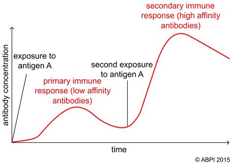 Artificial Passive Immunity Graph Tripp Has Hines