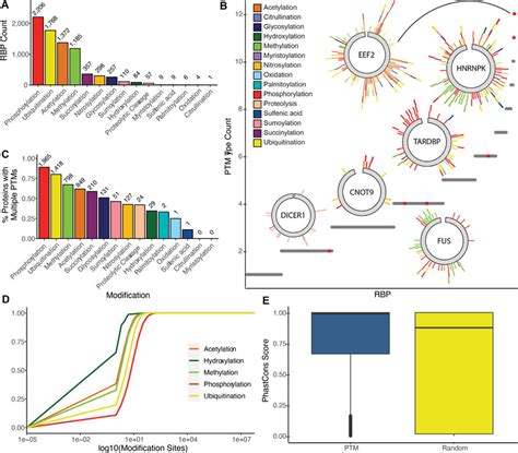 Sites Of Post Translational Modification In Rna Binding Proteins A