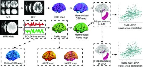 Calculation Of The Hippocampal Bold Cbf Correlation Representing