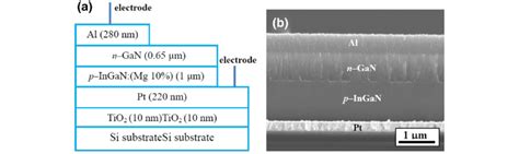 A The Structural Modeling And B The Cross Sectional Sem Image Of Download Scientific