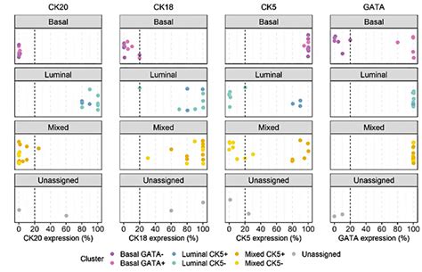 Proposed Algorithm Based On Two Markers And The Representation Of The Download Scientific
