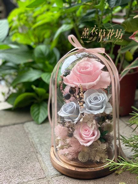 不凋花永生花乾燥花燈罩設計 110062515 薰衣草網路花店 情人節花束 媒體報導最具創意網路花店 Lavender