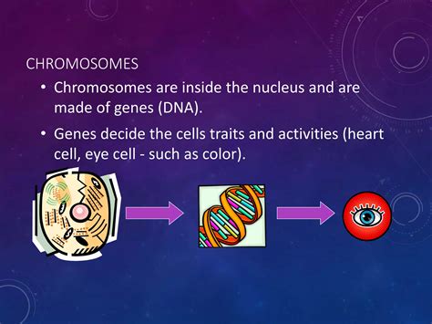 Cell Structure Ppt PPT
