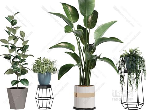 现代花架花盆盆栽植物3d模型下载模型id120547 让提网