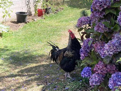 志保さんのラウンド通信 Aplacのblog