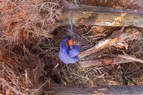 Professional Man Cutting Down Tree Trunk With Chainsaw After Hurricane With Help Of Chainsaw