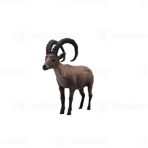 3d Ibex Isolated 22308488 Png