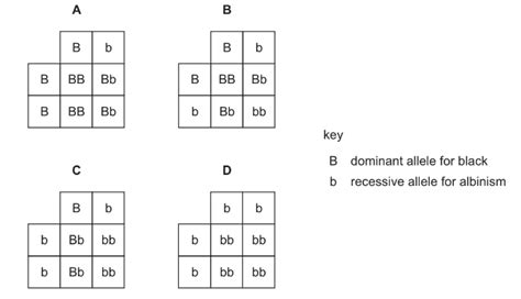 Cie Igcse Co Ordinated Science B16 3 Monohybrid Inheritance Exam Style Questions Paper 1