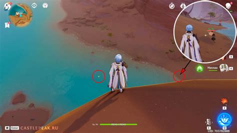 Побережье Самудры драгоценный сундук дендрокулы и оперенья