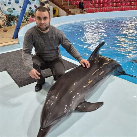 Міністерство оборони Міністерство оборони України