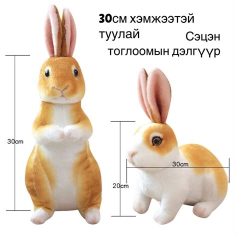 СЭЦЭН сургалтын СЭЦЭН сургалтын хэрэглэгдэхүүний дэлгүүр