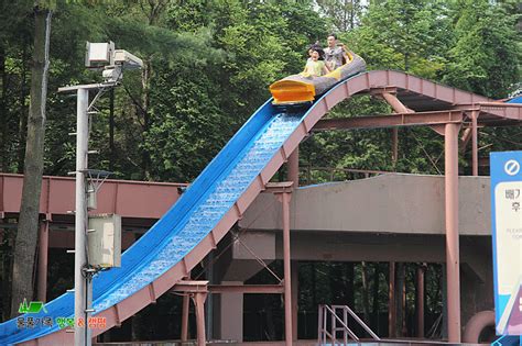 과천 서울랜드 급류타기 롤러코스터 네이버 블로그