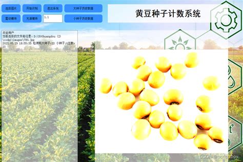 基于python图像的作物种子数统计算法设计与应用（源码 文档 演示视频） 基于python的黄豆计数 csdn博客