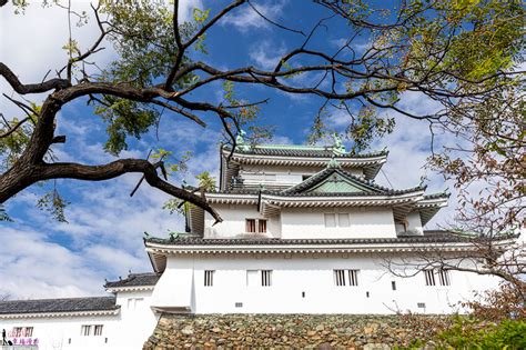 和歌山城｜和歌山縣日本 日本百大名城之一，賞櫻、賞楓的絕佳景點 旅遊 Walkerland窩客島