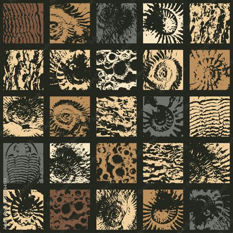 Vector Abstact Seamless Pattern Background With Sea Stone Texture With Imprints Of Ancient