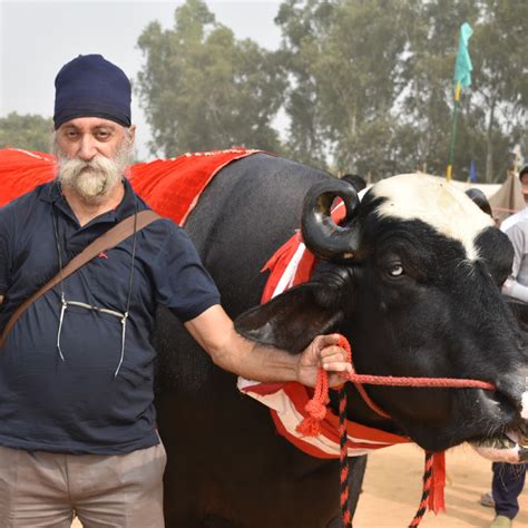 Contact Gurkirpal Singh Creator And Influencer