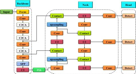 Structure Of The Improved Network Model Download Scientific Diagram