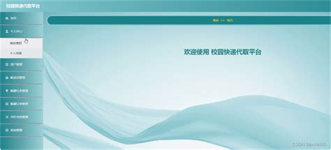 java php node js python校园快递代取平台【2024年毕设】 csdn博客